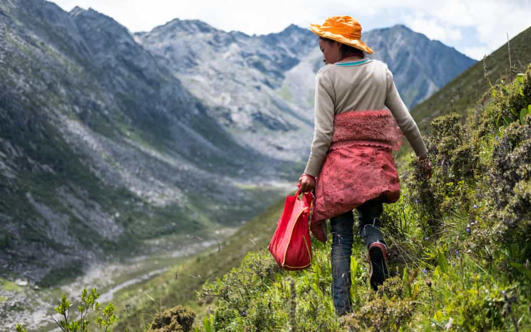 Mosika: Journey to the West - Chengdu Expat | Chengdu-Expat.com