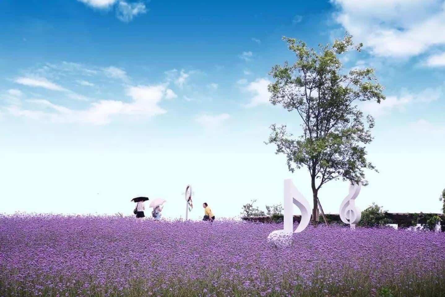 Yoho Farm - Chengdu Expat | Chengdu-Expat.com