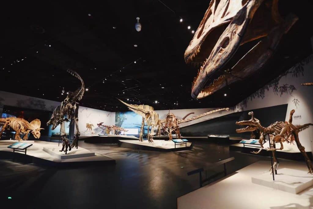 Must-Visit Museums in Chengdu | Chengdu-Expat.com