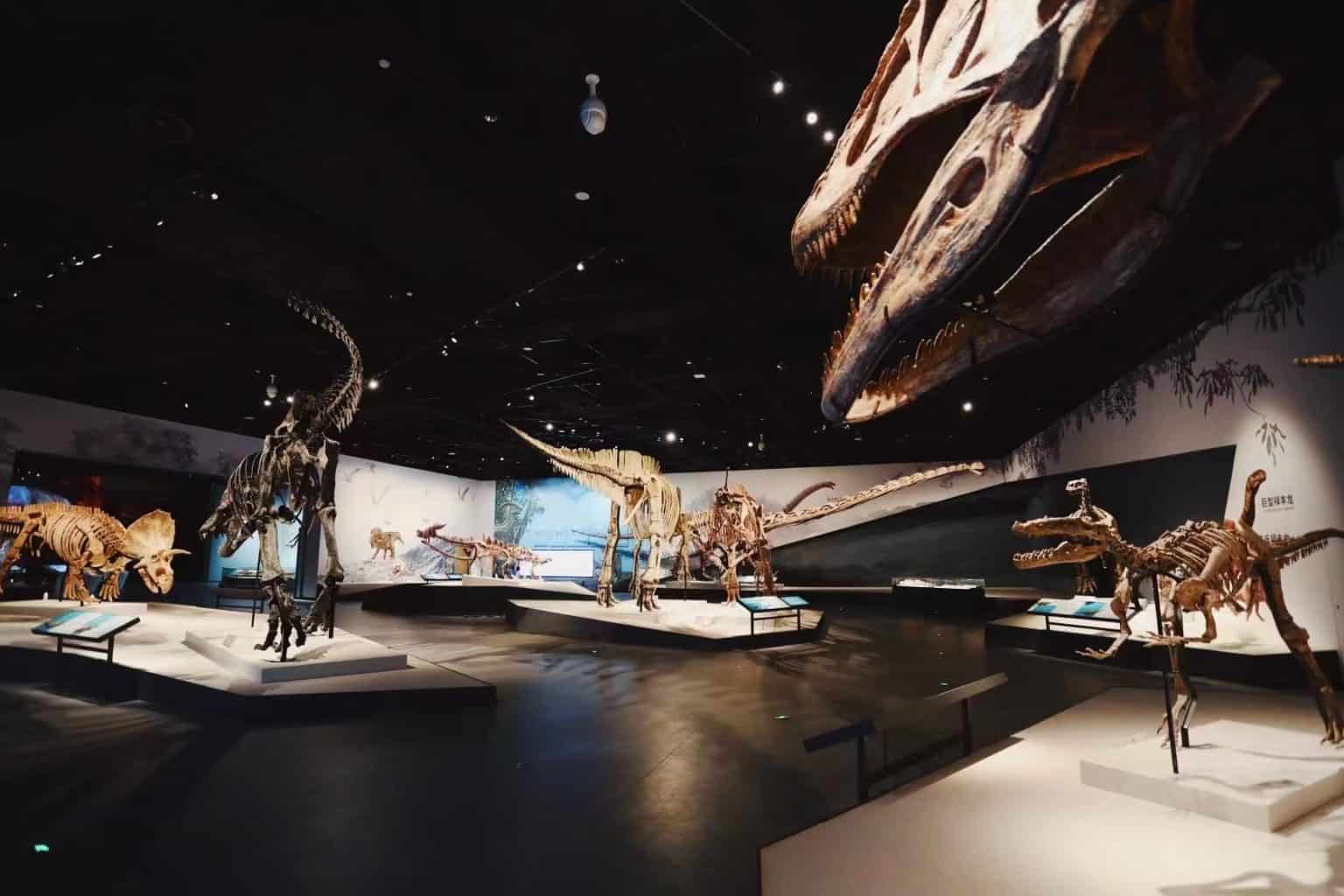 Must-Visit Museums in Chengdu | Chengdu-Expat.com