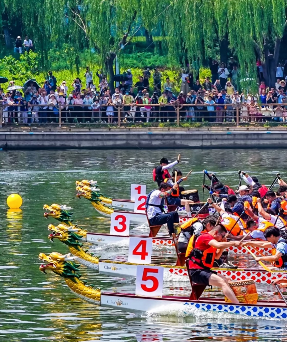 2025 Chengdu Dragon Boat Races | Chengdu-Expat.com